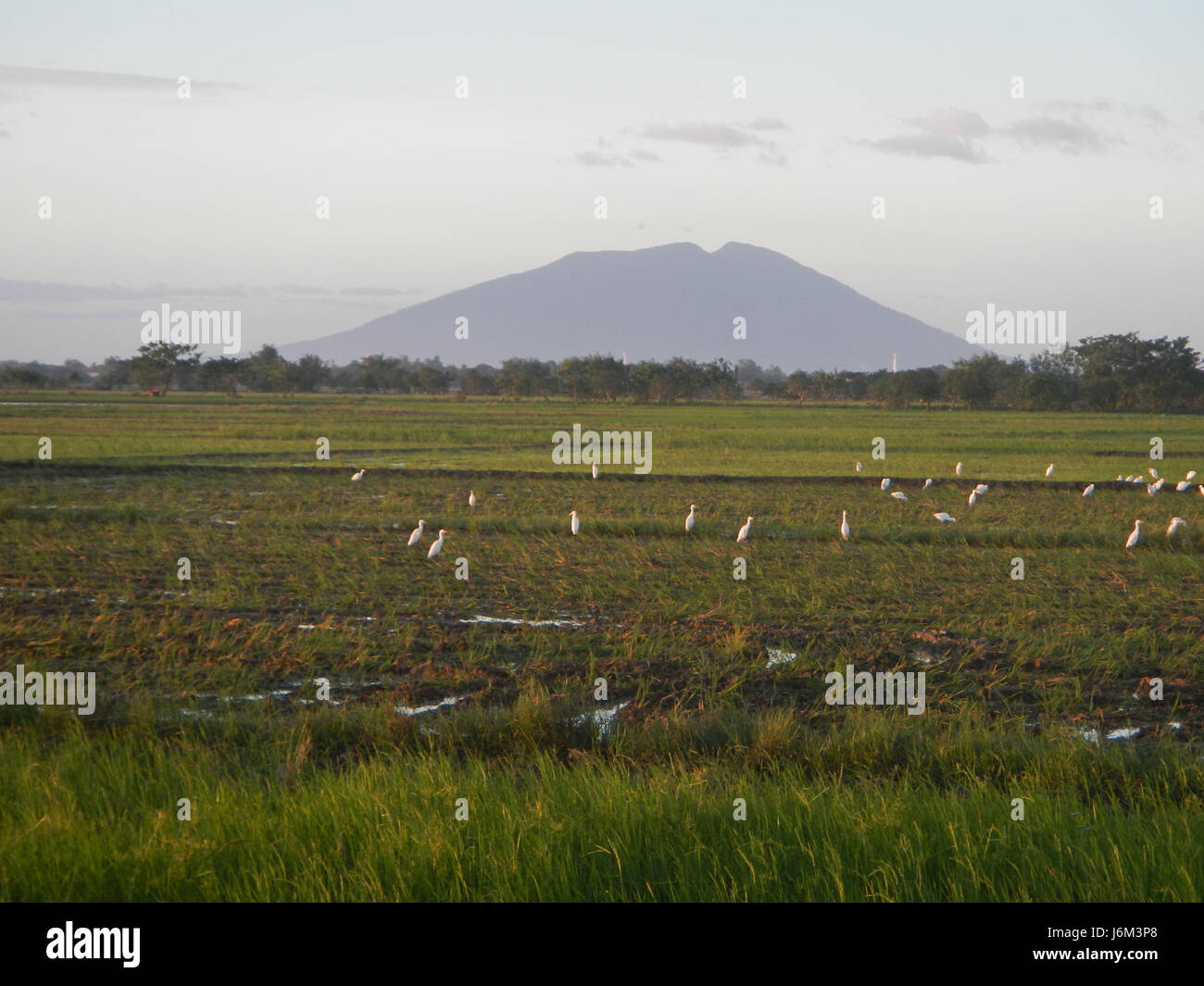 This photograph highlights the rural landscape along Cortez Road in ...
