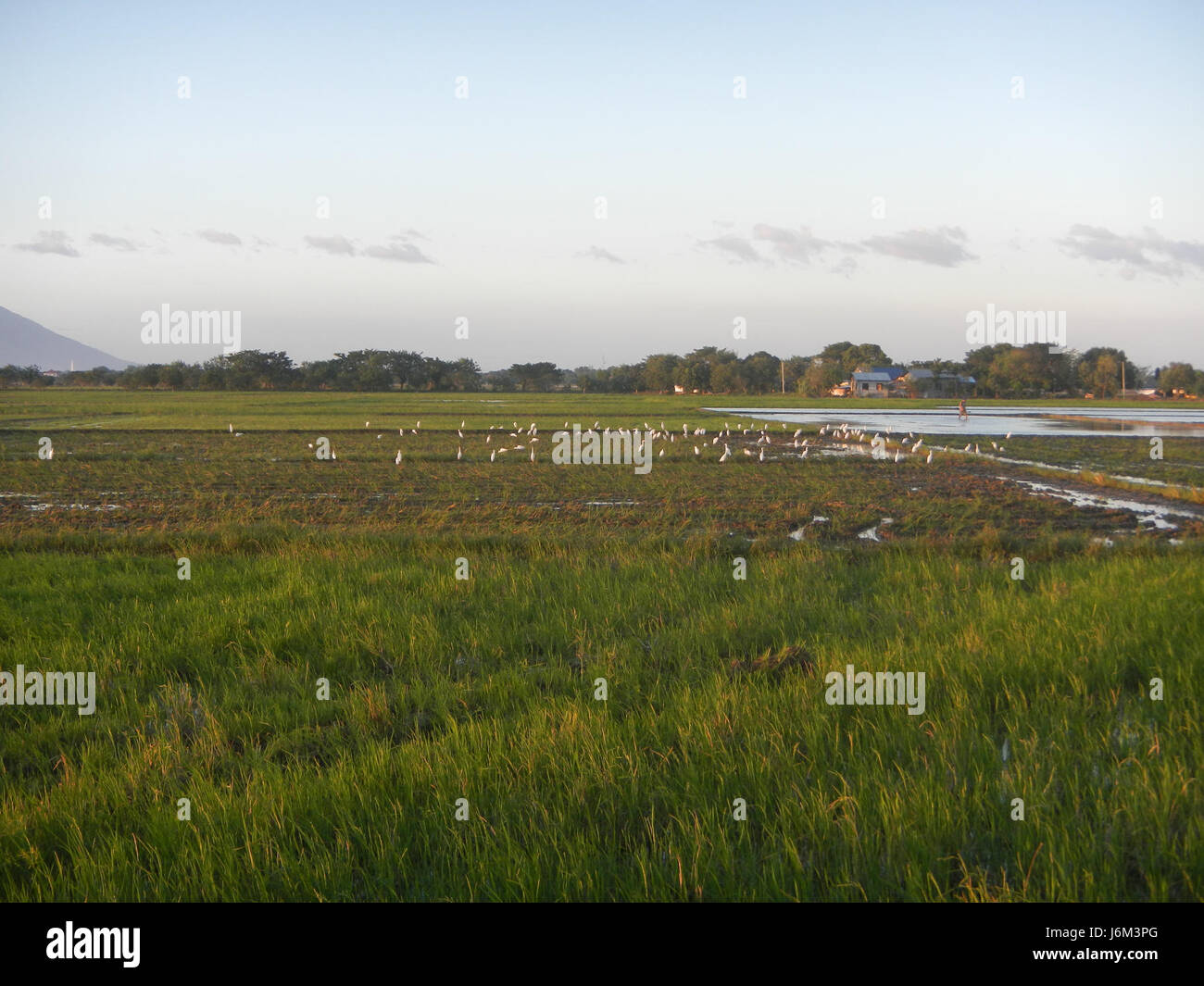 This image captures the scenic landscape along Cortez Road in ...