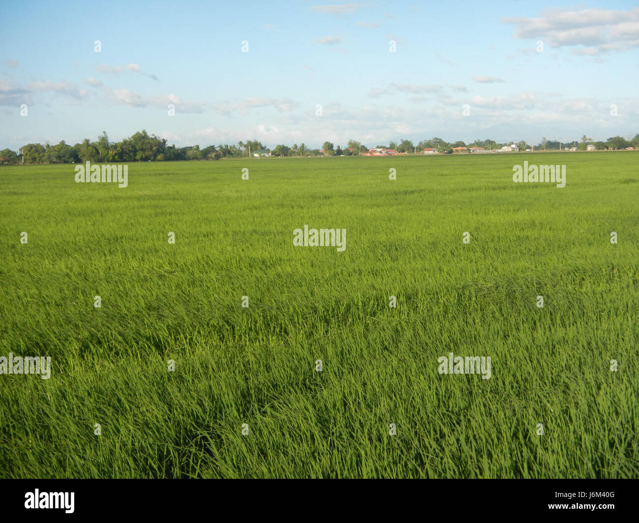 This photograph shows various locations in Pampanga, Philippines ...