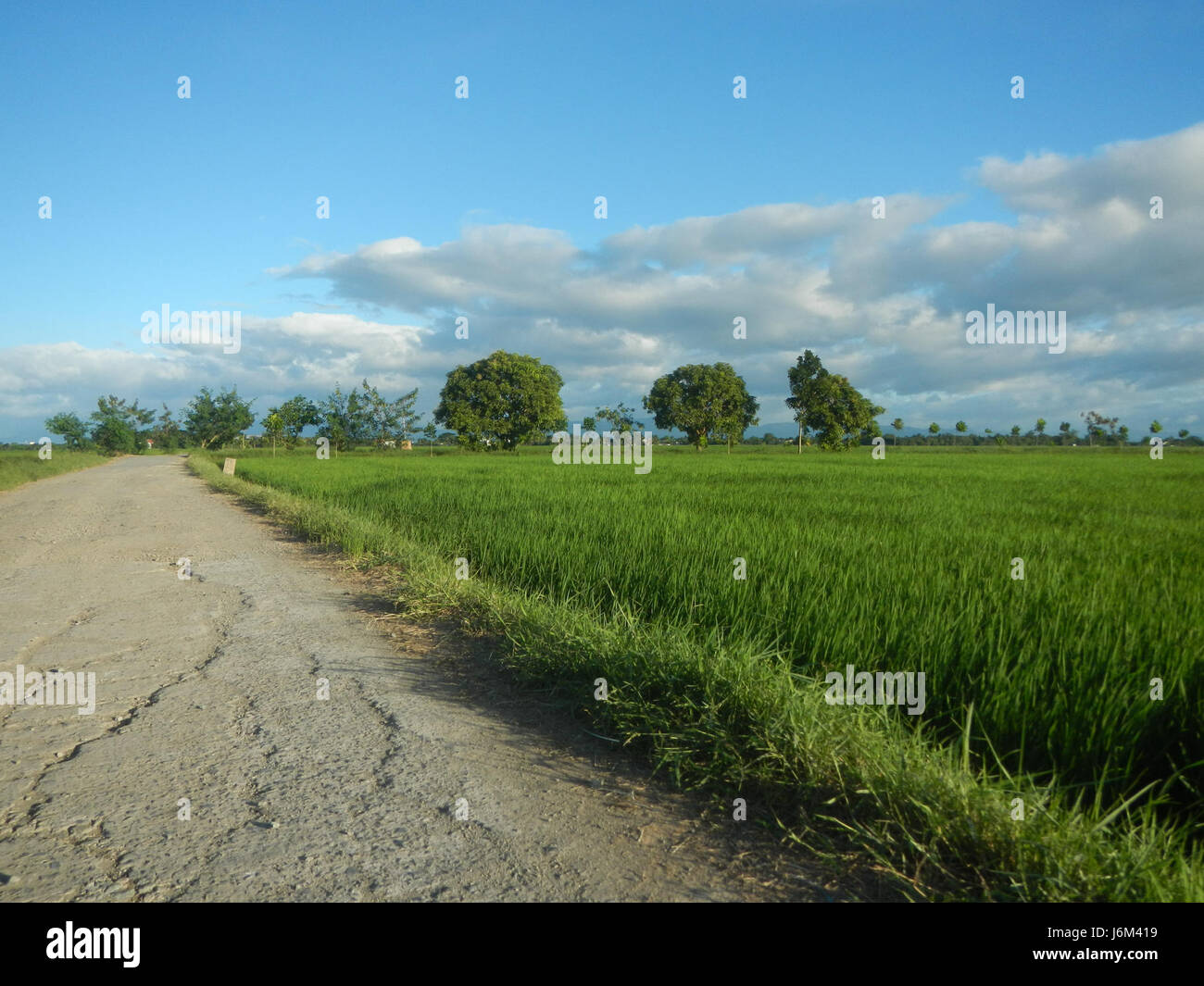 This title refers to the geographic location of Sitios Centro and Libis ...