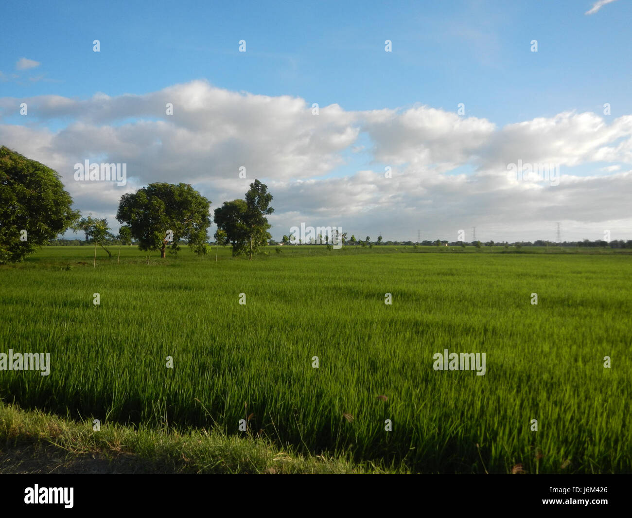 The Sitios Centro, Cardenas, Libis, Tagulod, and Candaba Chapel in ...