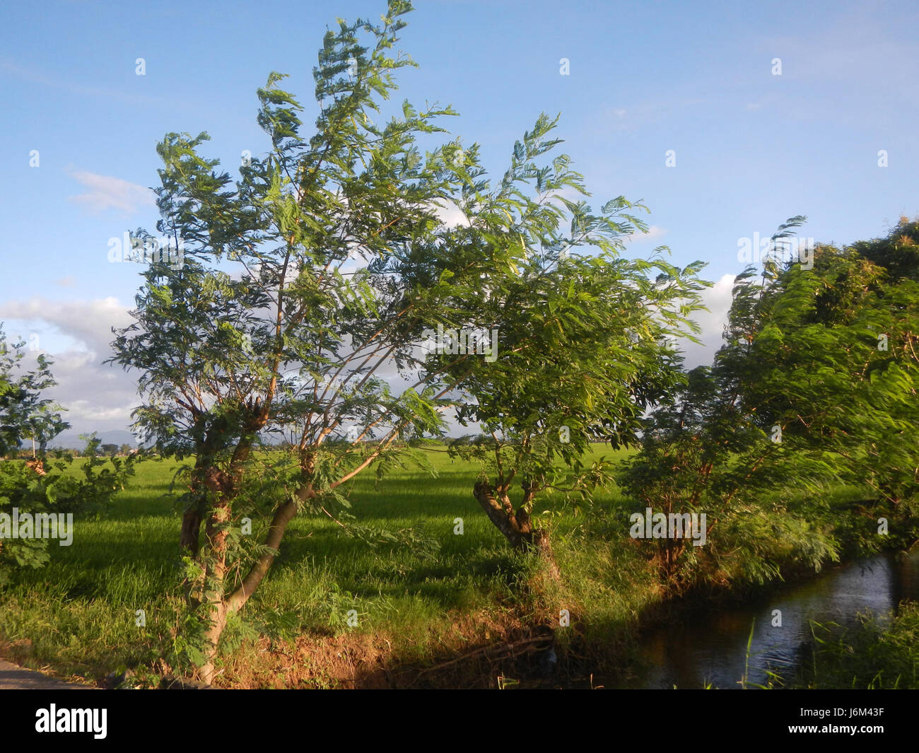 This image presents *Sitios Centro Cardenas*, Libis Tagulod, and the ...
