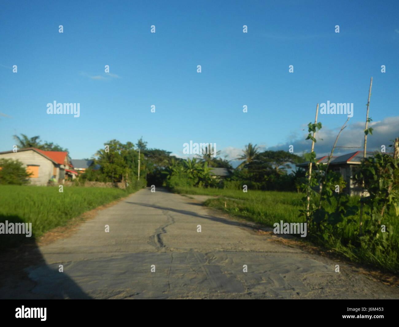 This map or representation of Sitios Centro, Cardenas, Libis, Tagulod ...