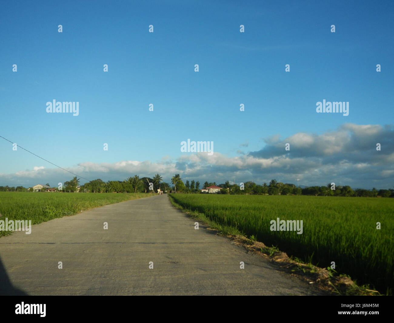 This title refers to the areas of Sitios Centro, Cardenas, Libis ...