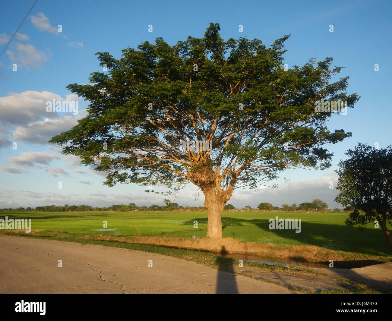 Provincial banner philippines hi-res stock photography and images - Alamy