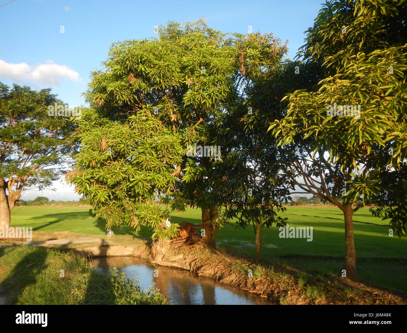 A view of the Cuayang Bugtong Welcome Arch in Candaba, Pampanga, with ...
