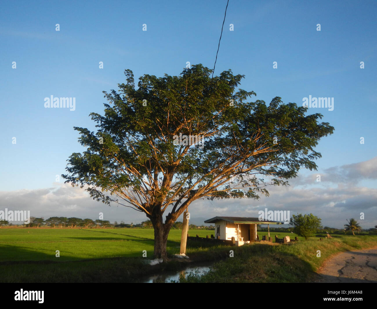 This image features the Cuayang Bugtong Welcome Arch in Candaba ...