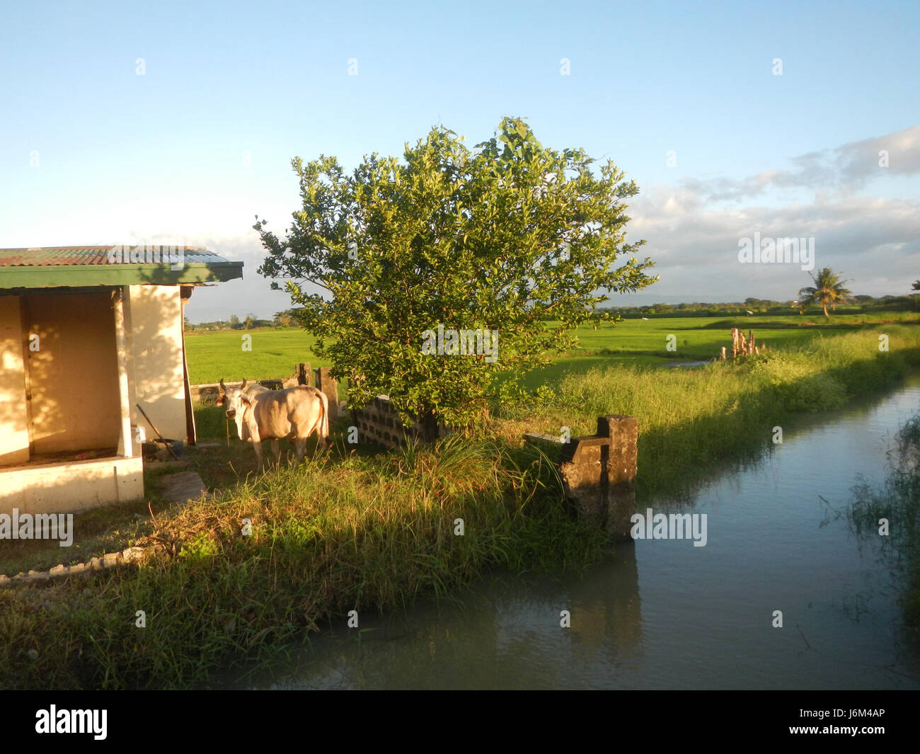 The Cuayang Bugtong Welcome Arch in Candaba, Pampanga, is a notable ...
