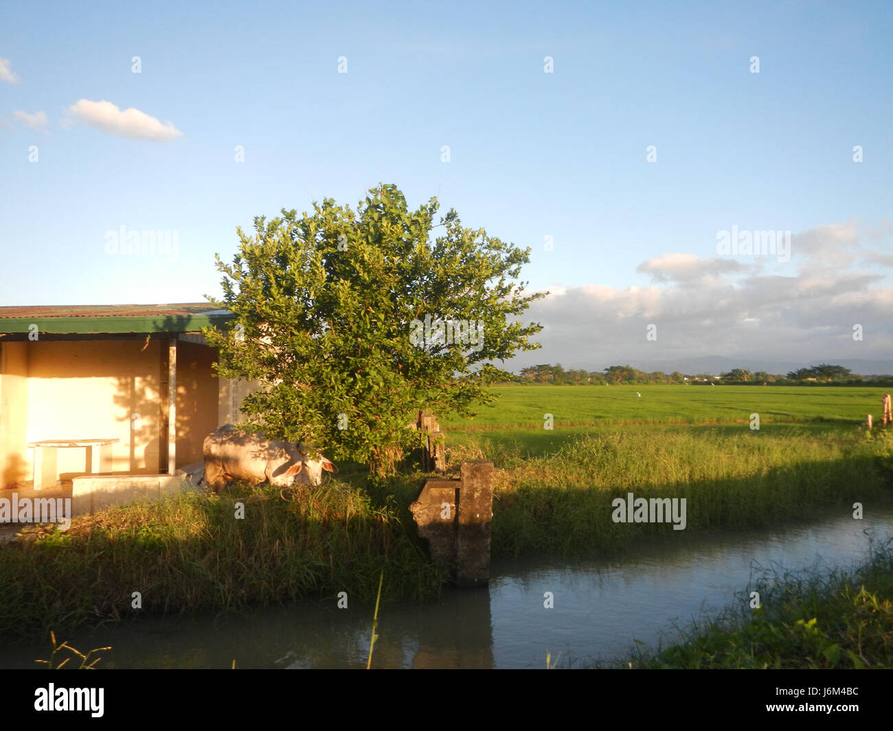 This image shows the Cuayang Bugtong Welcome Arch in Candaba, Pampanga ...