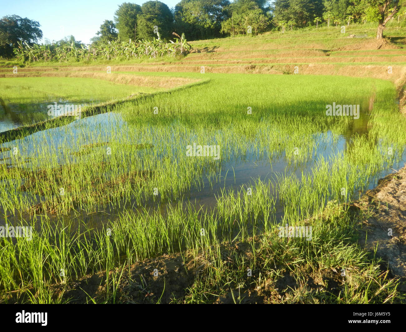Sapang hi-res stock photography and images - Alamy