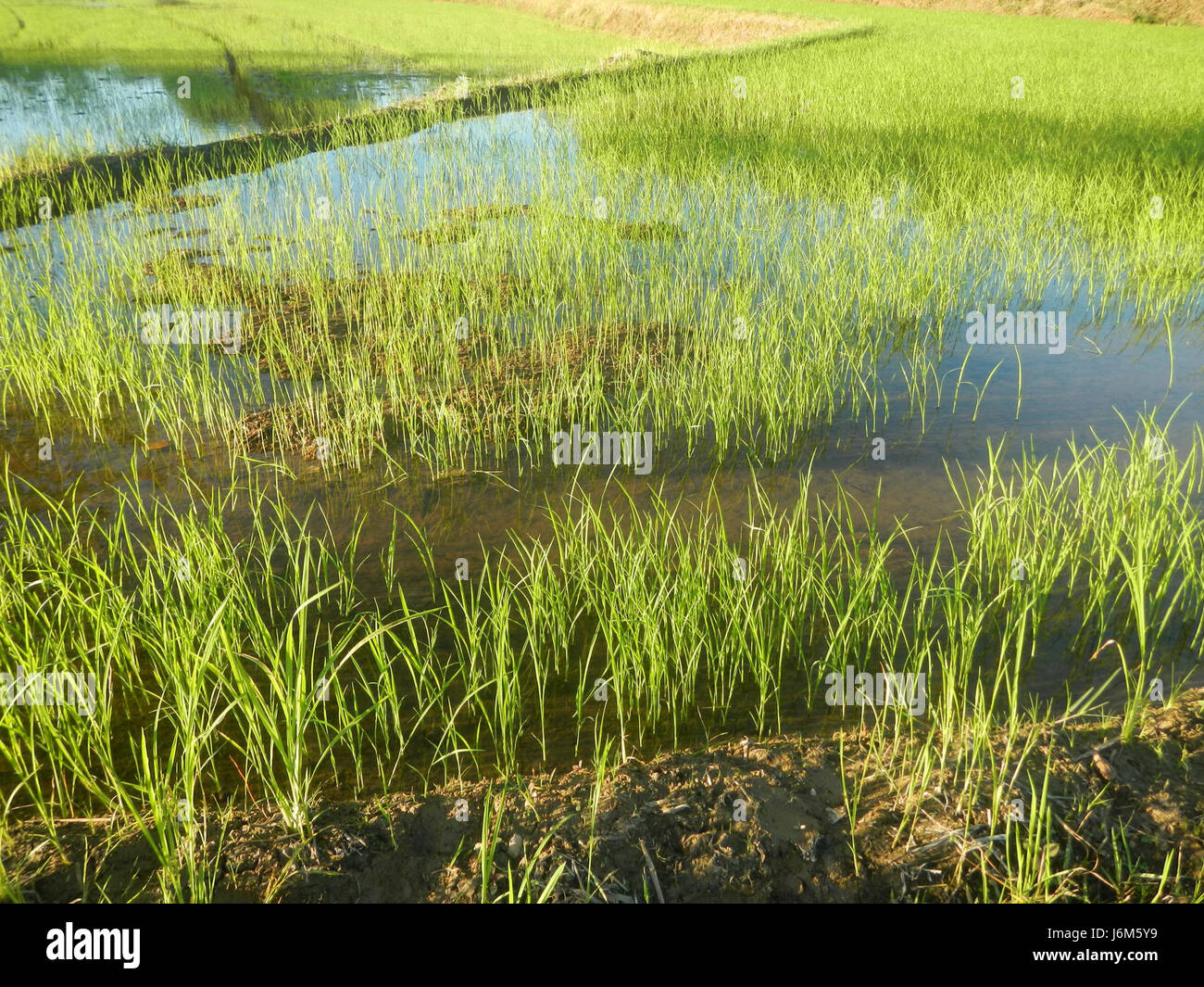 Pahalang hi-res stock photography and images - Alamy