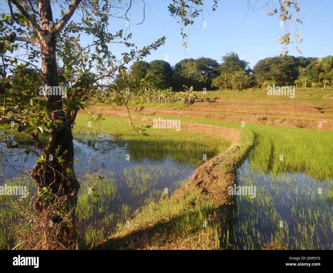 0578 Sapang Pahalang, San Rafael, Bulacan 14 Stock Photo - Alamy
