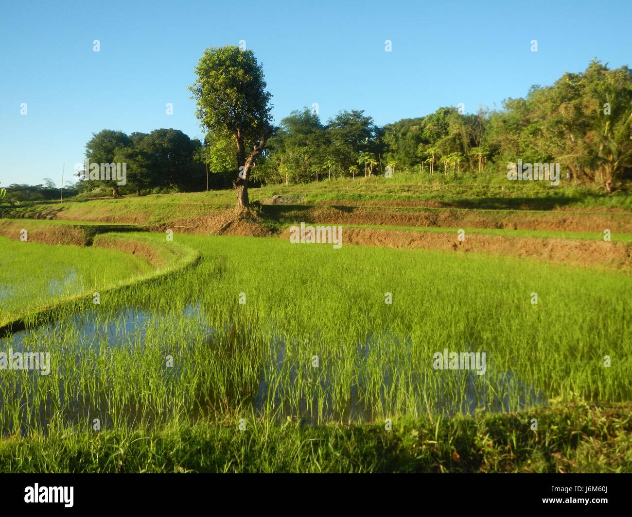 Sapang High Resolution Stock Photography and Images - Alamy