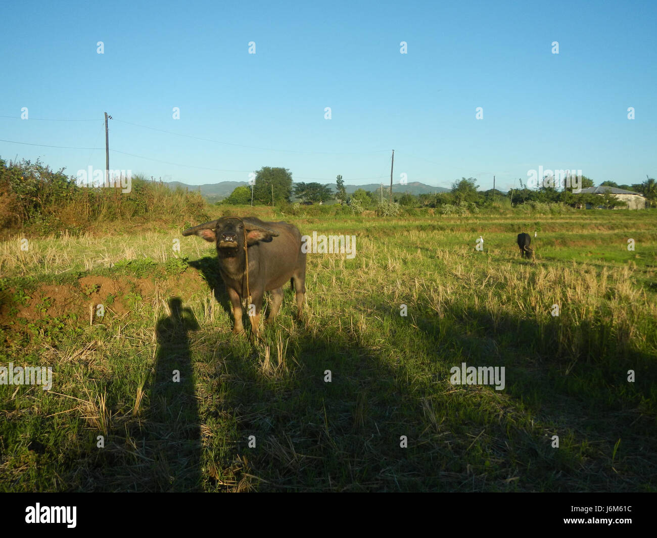 Sapang hi-res stock photography and images - Alamy