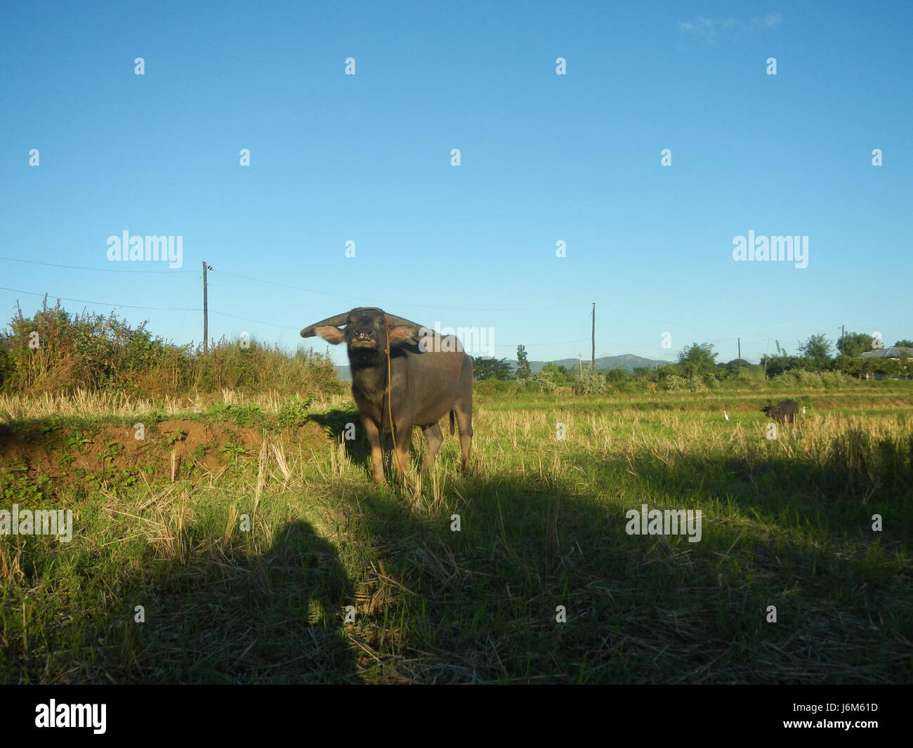 Pahalang hi-res stock photography and images - Alamy