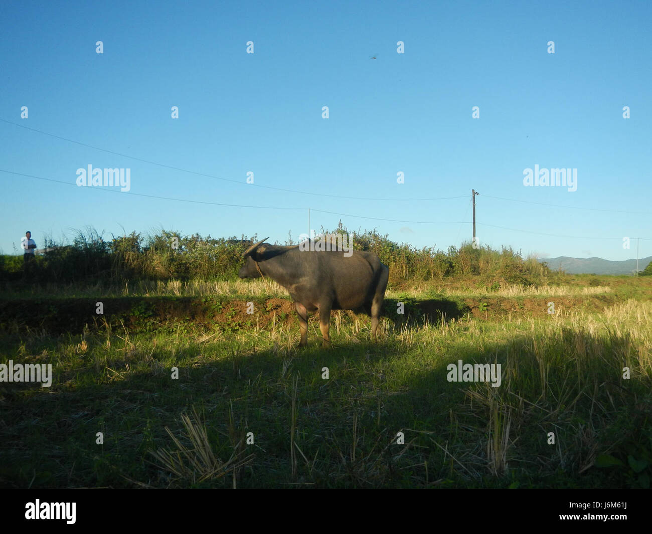 Pahalang hi-res stock photography and images - Alamy