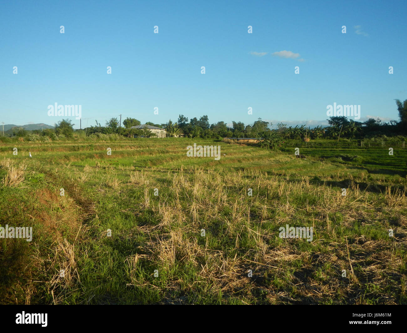 River systems mapping hi-res stock photography and images - Alamy