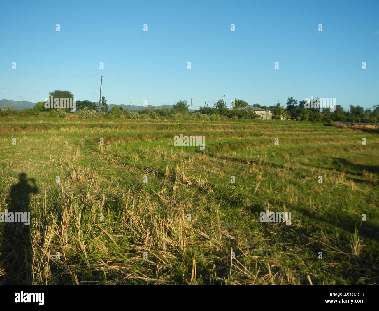 This image shows Sapang Pahalang, a waterway located in San Rafael ...