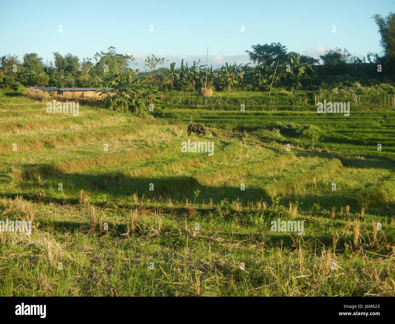 Sapang Pahalang is a location in San Rafael, Bulacan, known for its ...