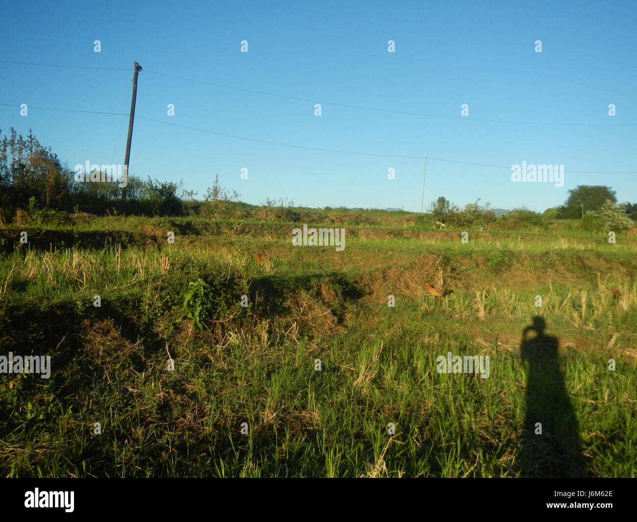This image shows a scene from Sapang Pahalang Tukod, San Rafael ...