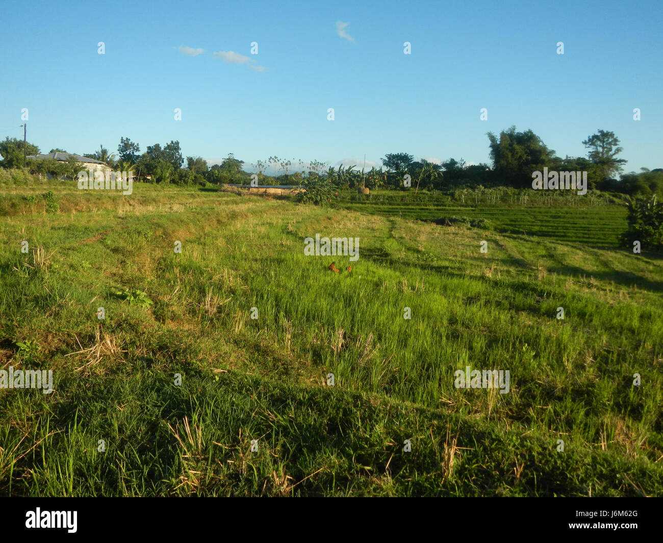 Photograph of Sapang Pahalang Tukod in San Rafael, Bulacan, Philippines ...