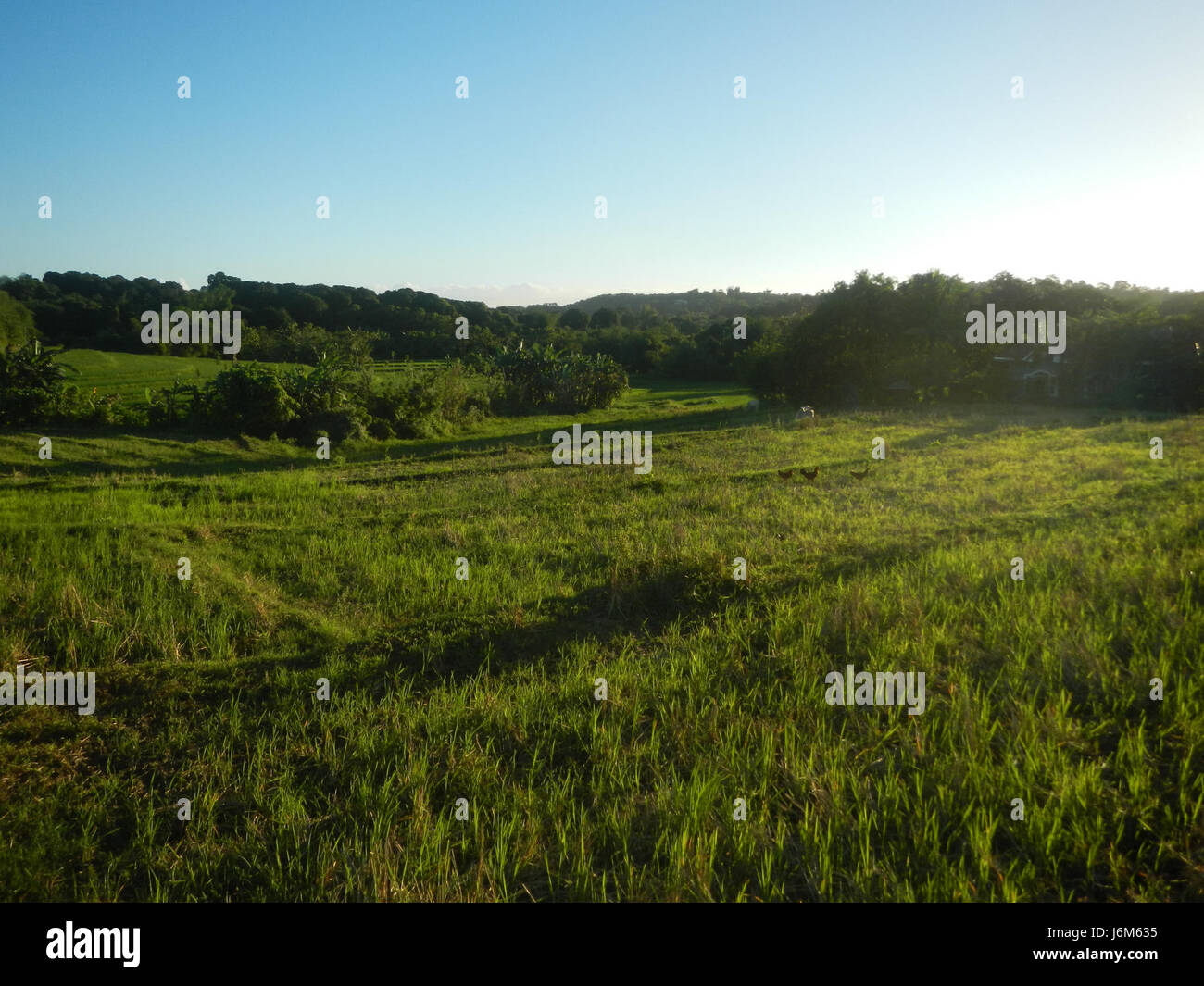 A photograph of Sapang Pahalang Tukod, a canal in San Rafael, Bulacan ...