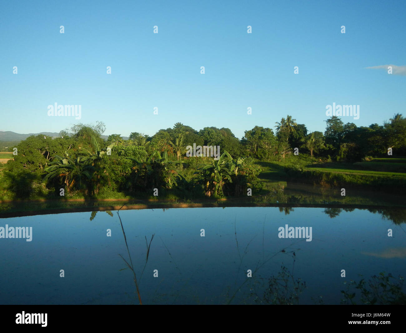 This image captures the Sapang Pahalang Tukod, located in San Rafael ...
