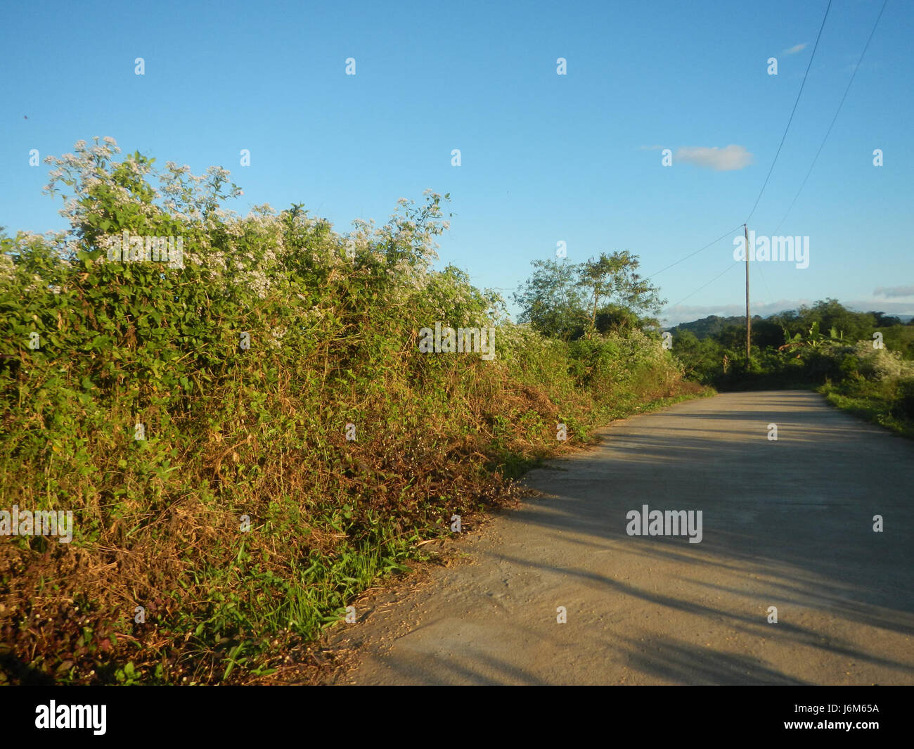 Sapang Pahalang in San Rafael, Bulacan, is a region characterized by ...