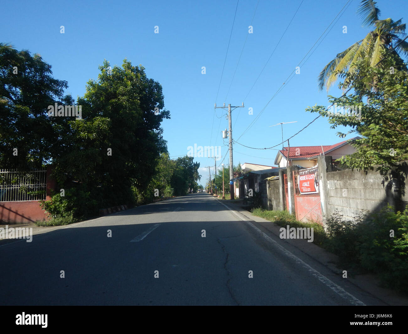 The paddy fields, grasslands, and trees in Balucuc, Apalit, Pampanga ...