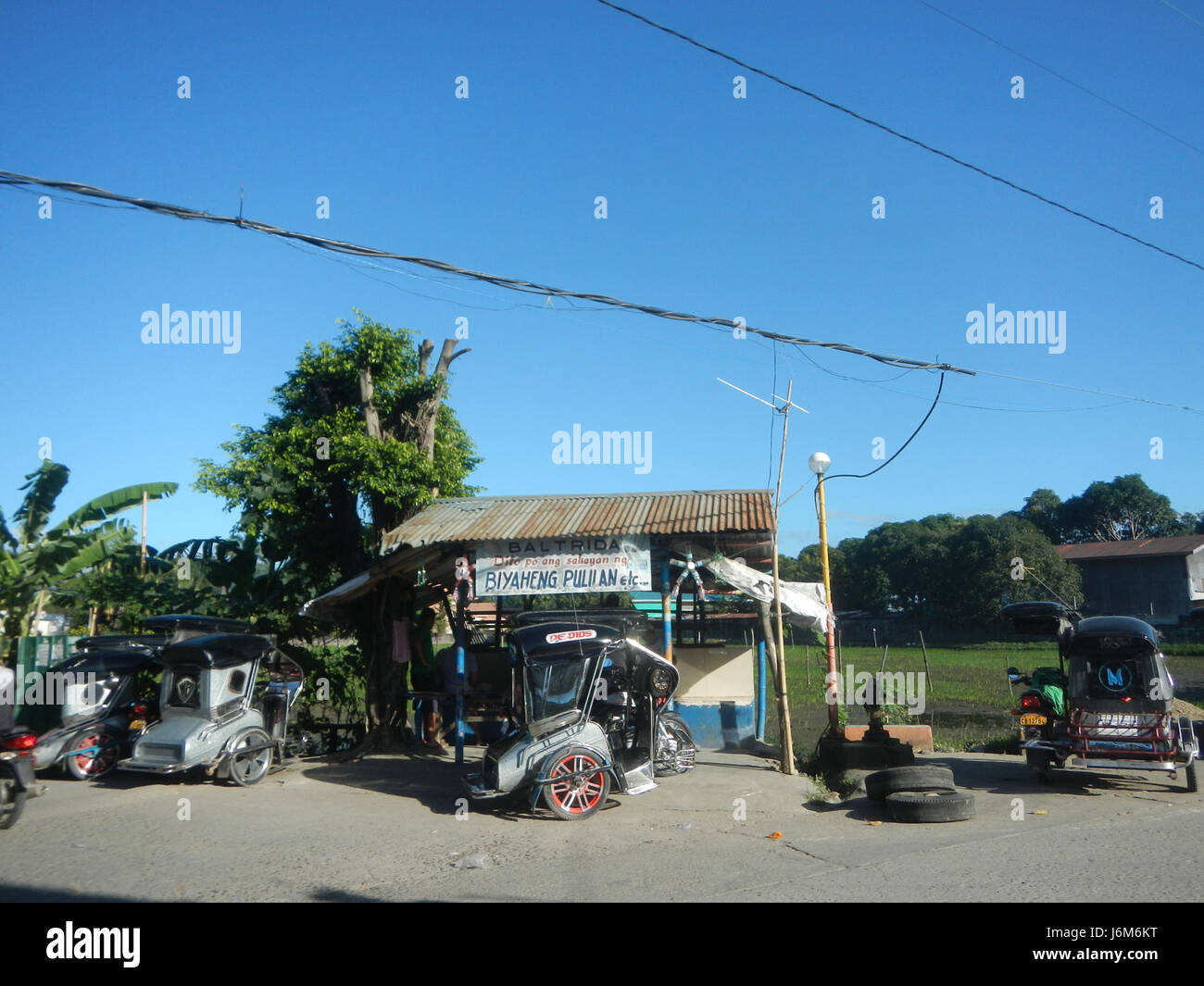 08883 Balucuc Apalit Pampanga paddy fields grasslands trees irrigation ...