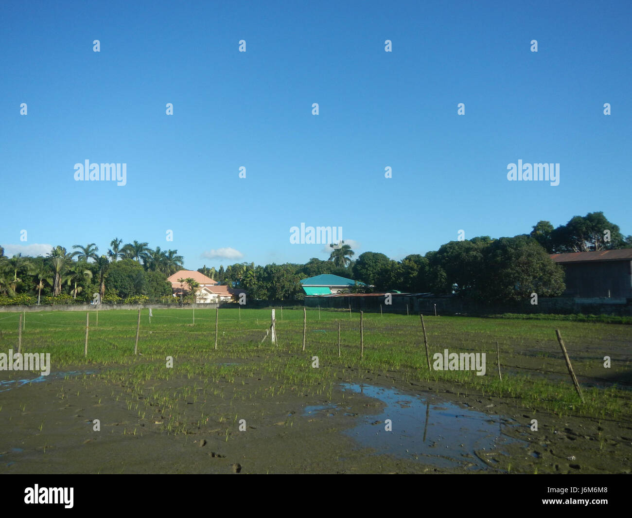The image shows the Balucuc area in Apalit, Pampanga, featuring vast ...