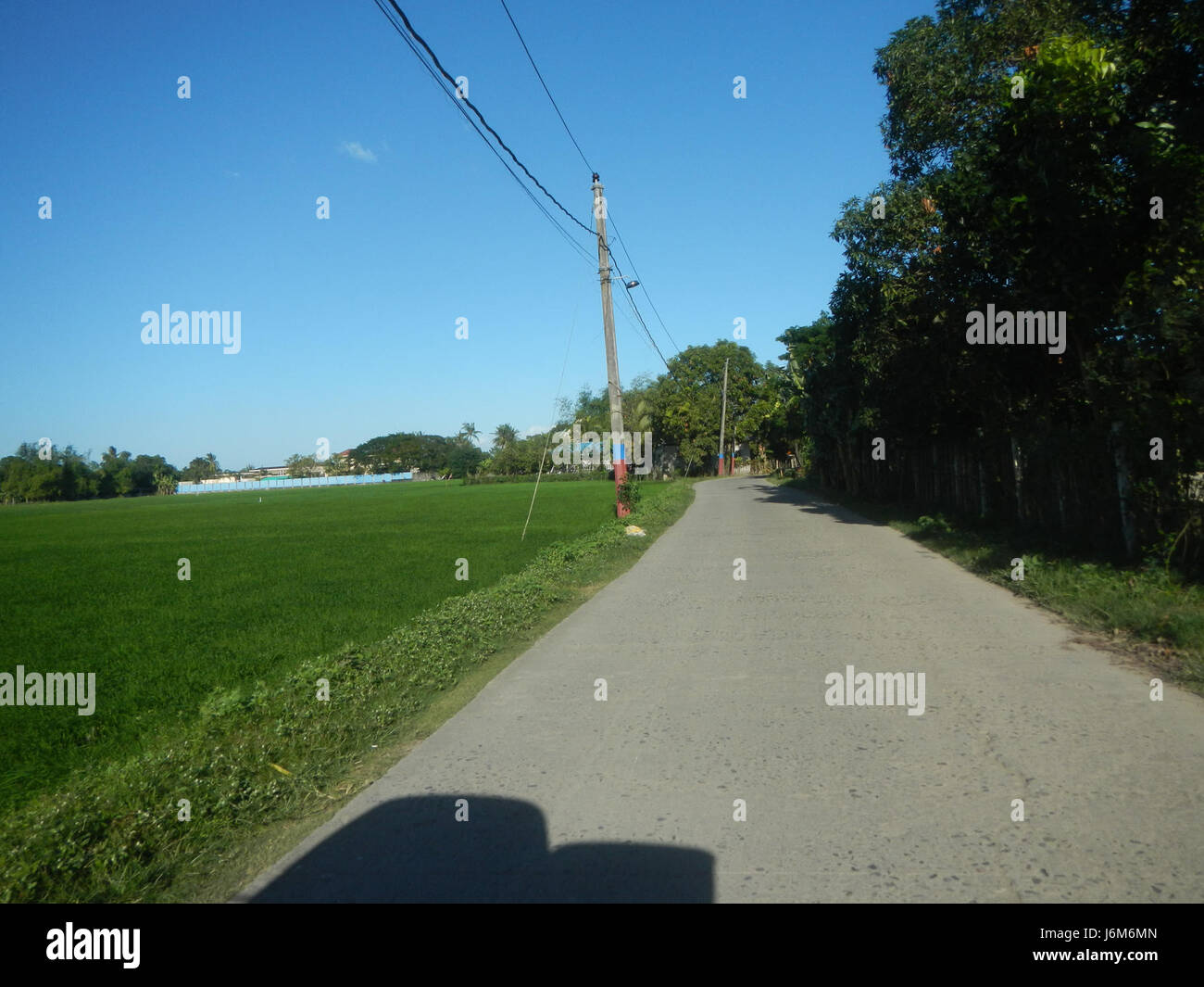 08915 Balucuc Apalit Pampanga paddy fields grasslands trees Centro ...