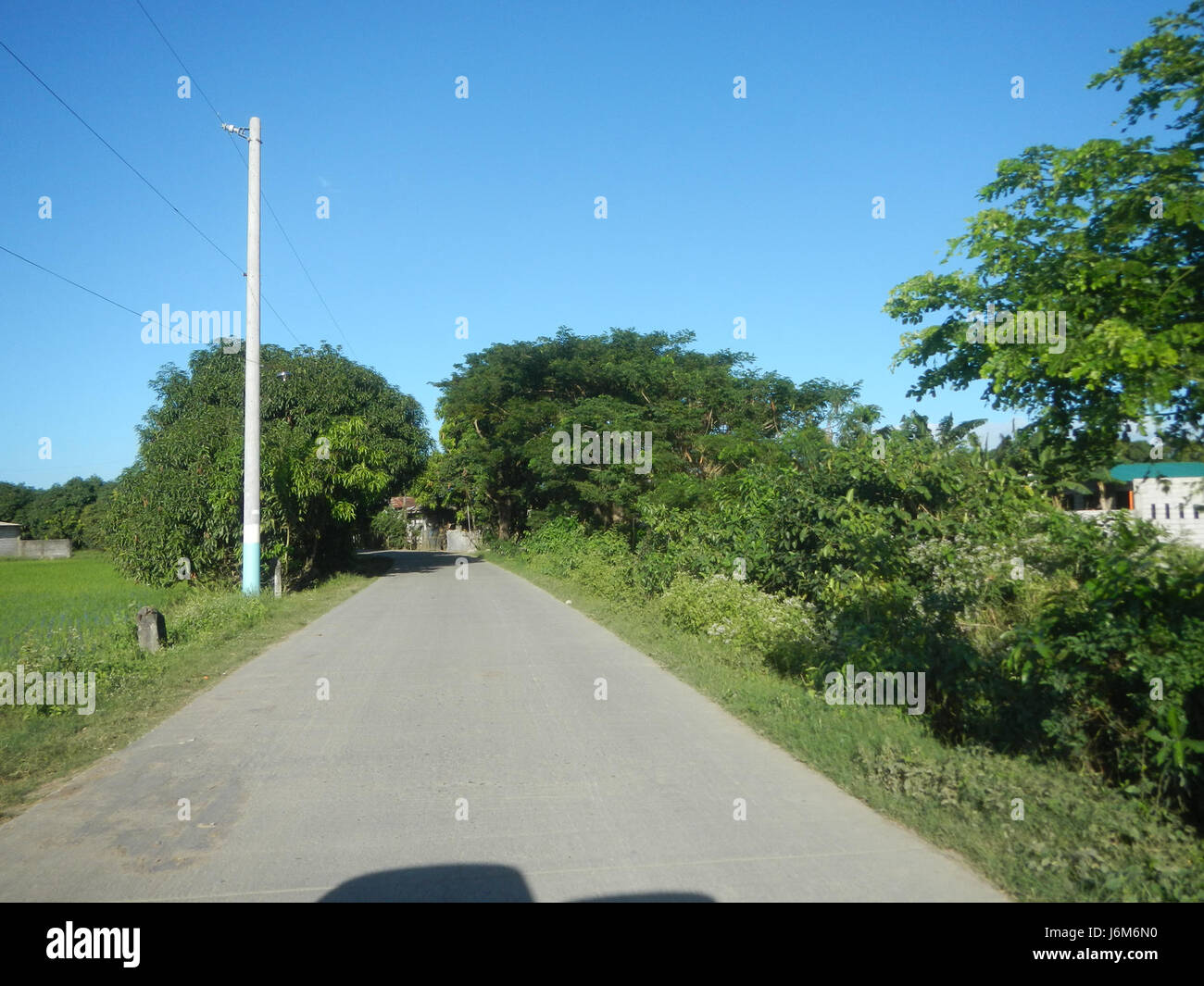 This image captures the paddy fields, grasslands, and tree-lined roads ...