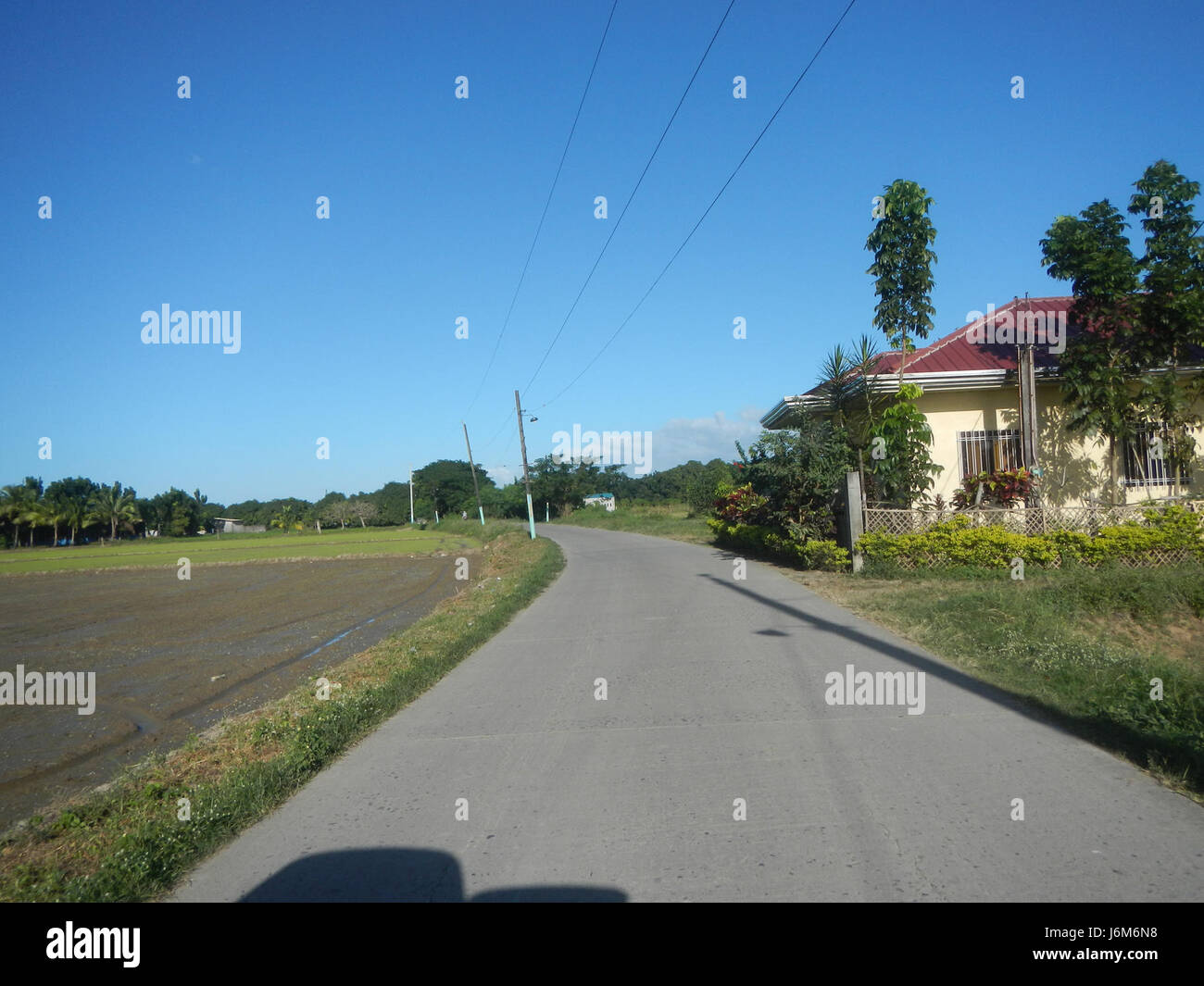 08947 Balucuc Apalit Pampanga paddy fields grasslands trees irrigation ...