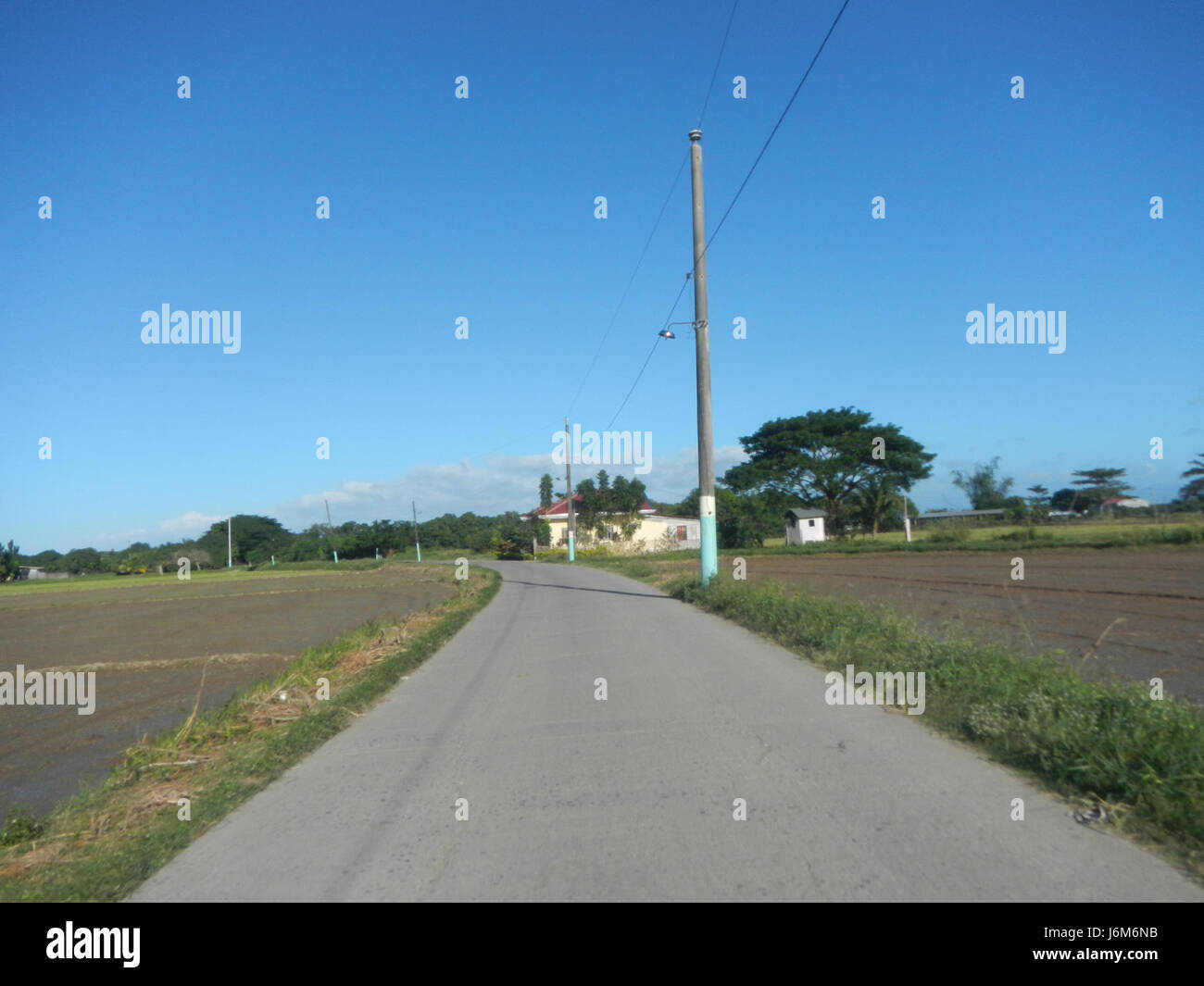 08947 Balucuc Apalit Pampanga paddy fields grasslands trees irrigation ...