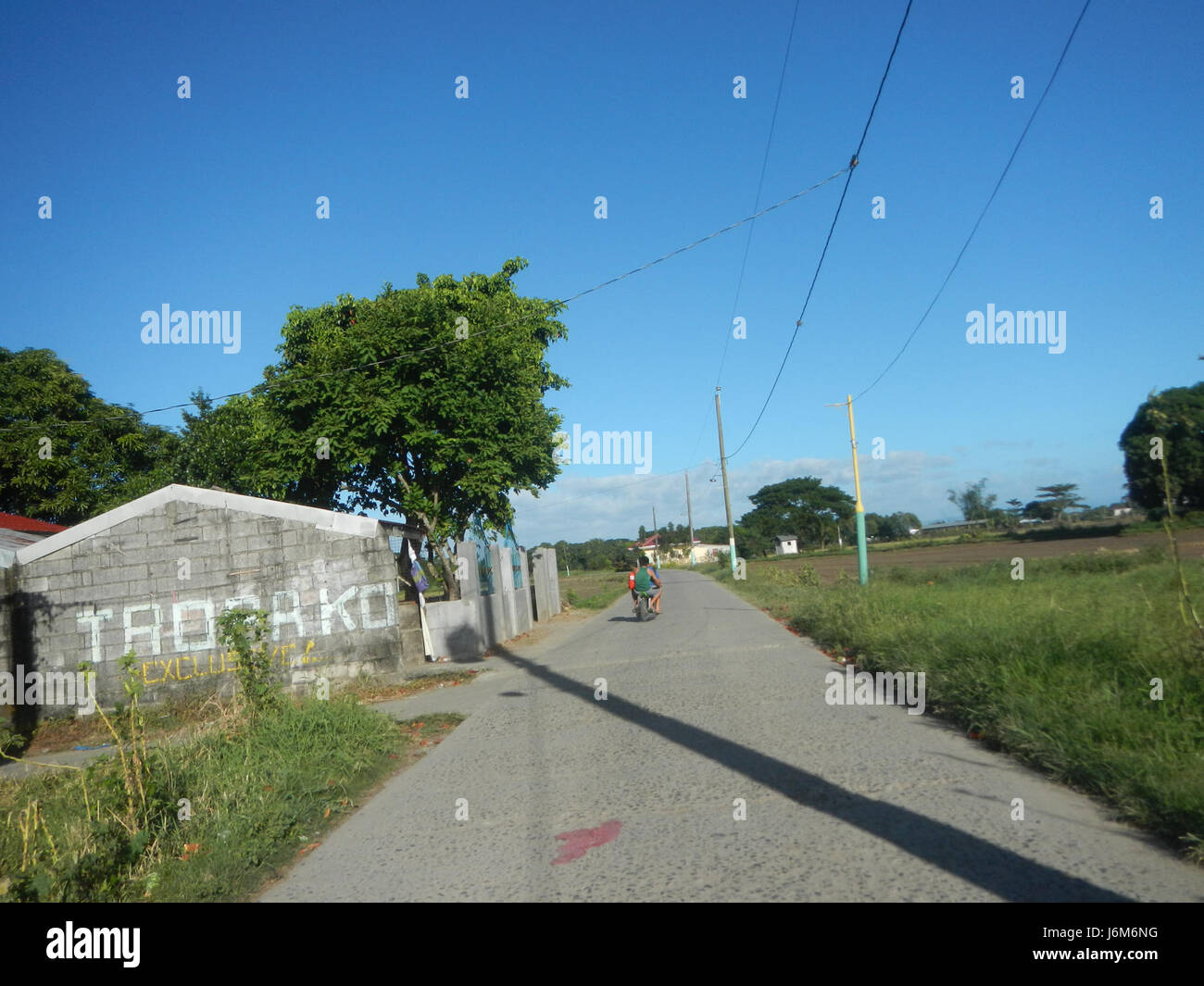 08947 Balucuc Apalit Pampanga paddy fields grasslands trees irrigation ...