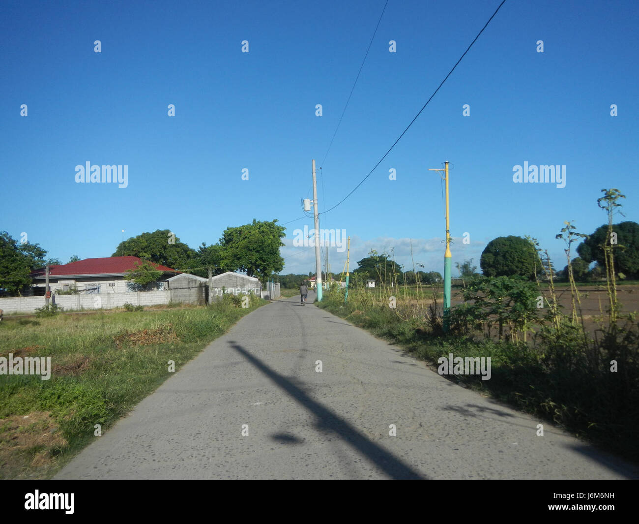 08947 Balucuc Apalit Pampanga paddy fields grasslands trees irrigation ...