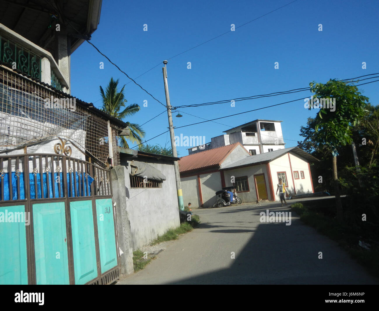 08947 Balucuc Apalit Pampanga paddy fields grasslands trees irrigation ...