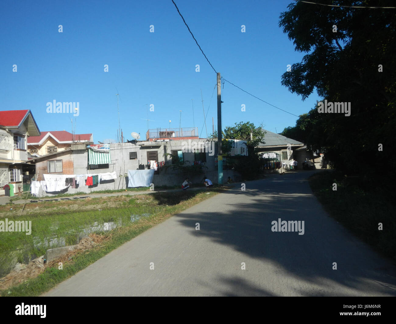08947 Balucuc Apalit Pampanga paddy fields grasslands trees irrigation ...