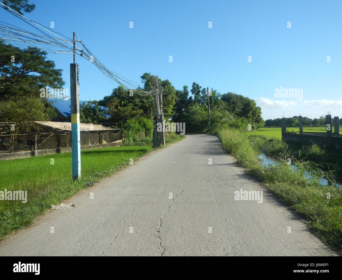 08947 Balucuc Apalit Pampanga paddy fields grasslands trees irrigation ...