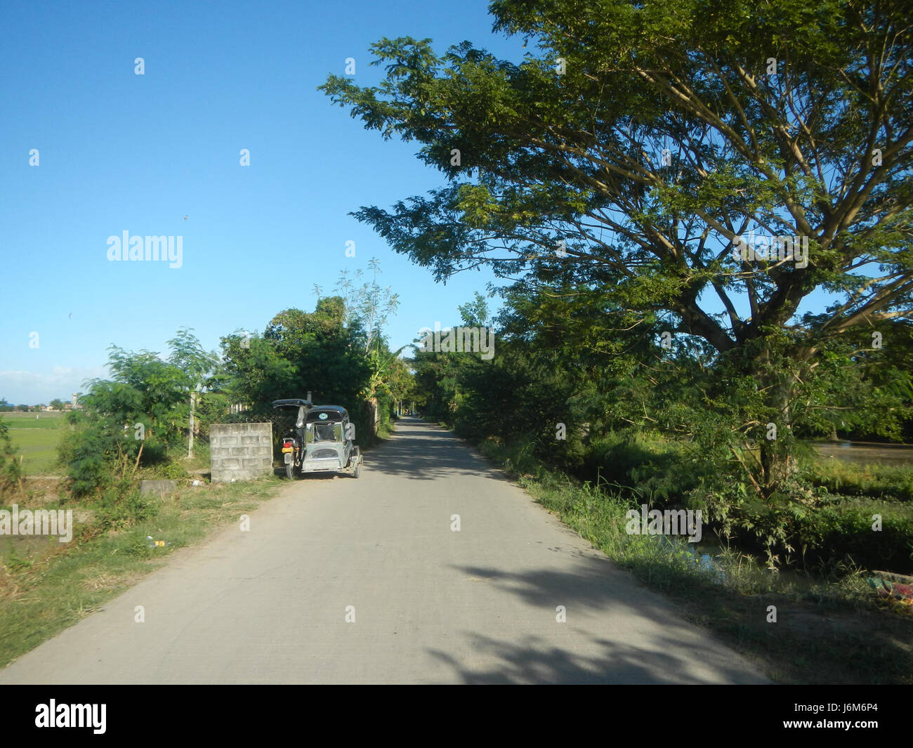 08947 Balucuc Apalit Pampanga paddy fields grasslands trees irrigation ...