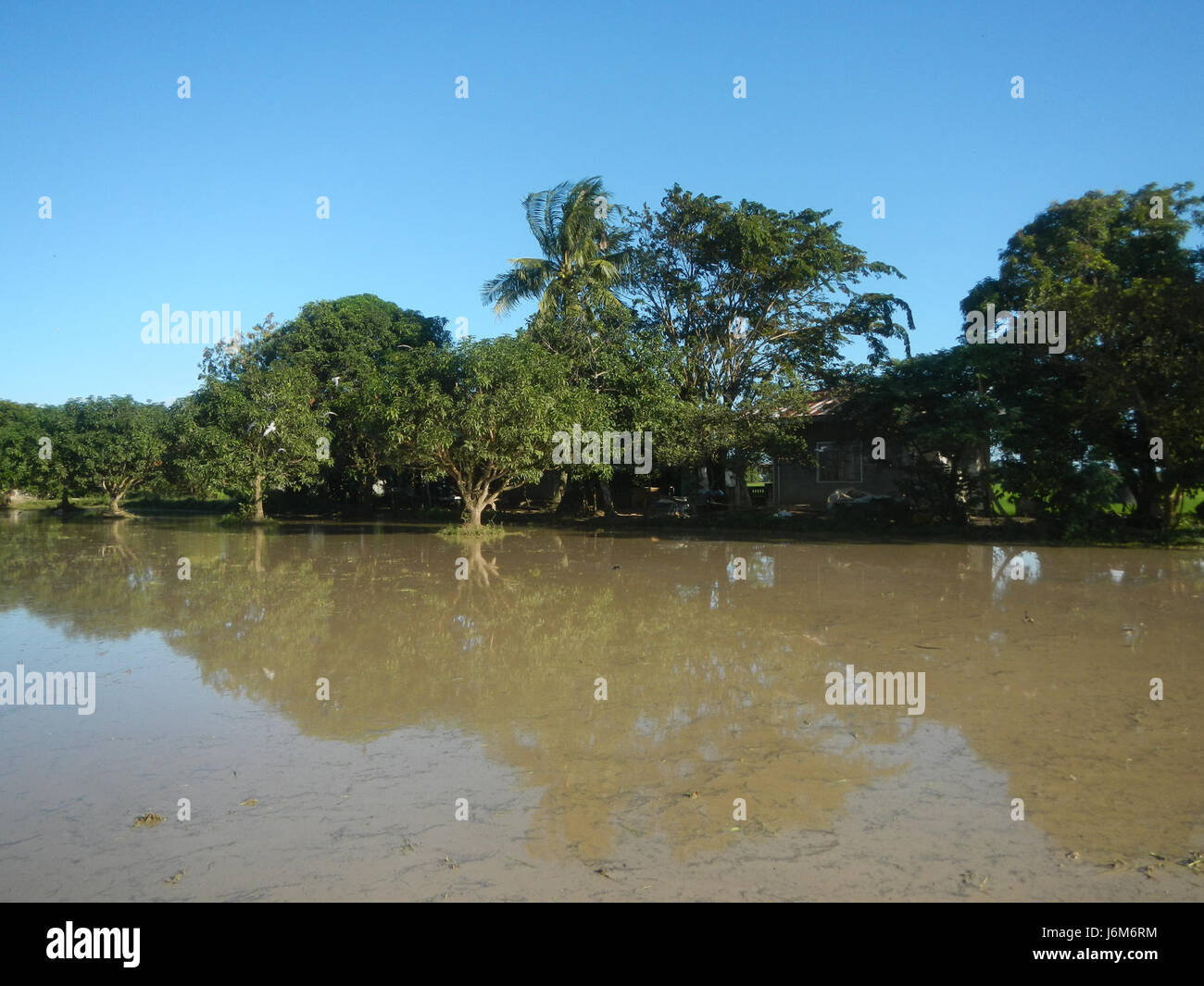 This image depicts the agricultural landscape in Balucuc, Apalit ...
