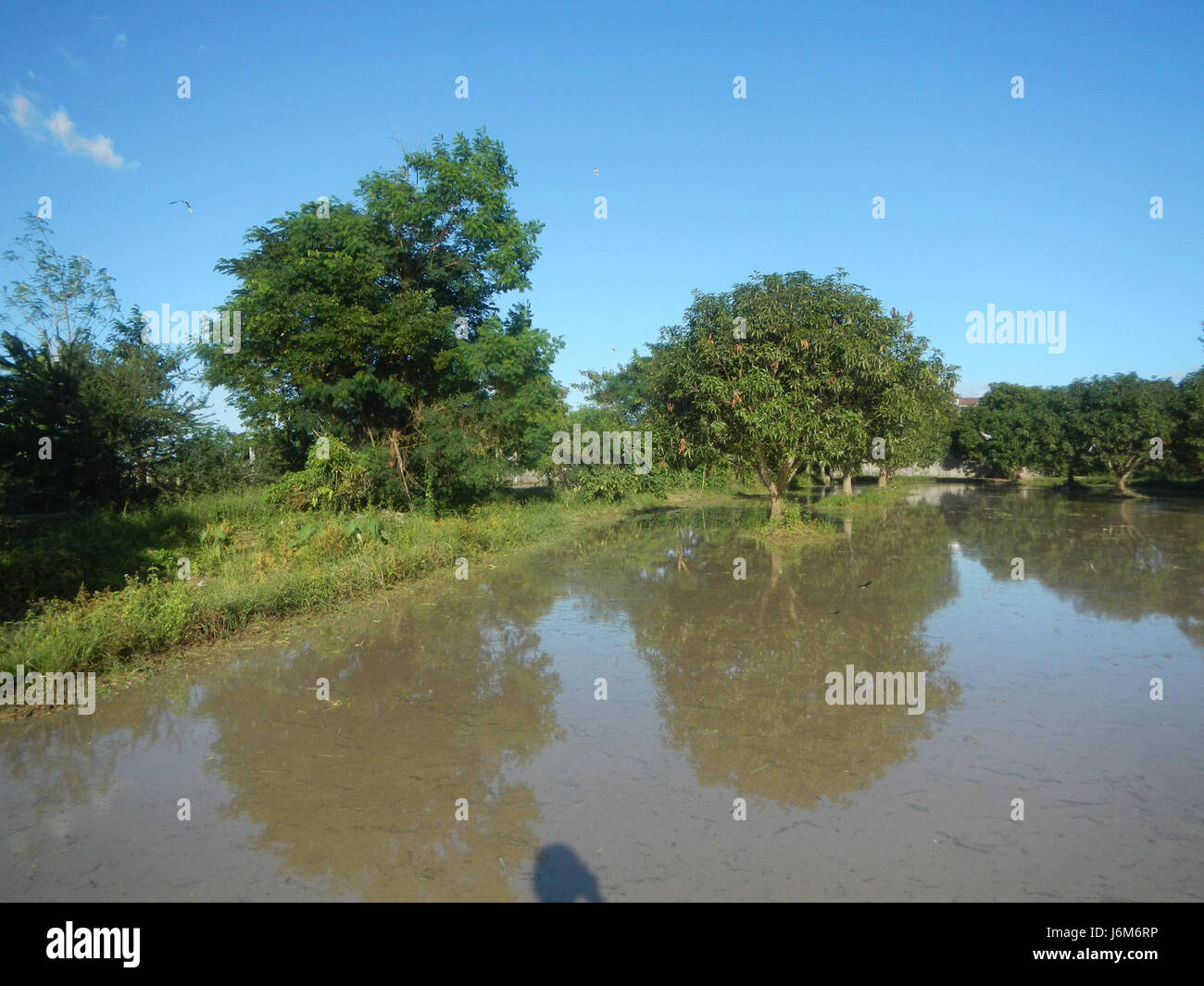 A photograph of the agricultural landscape in Balucuc, Apalit, Pampanga ...
