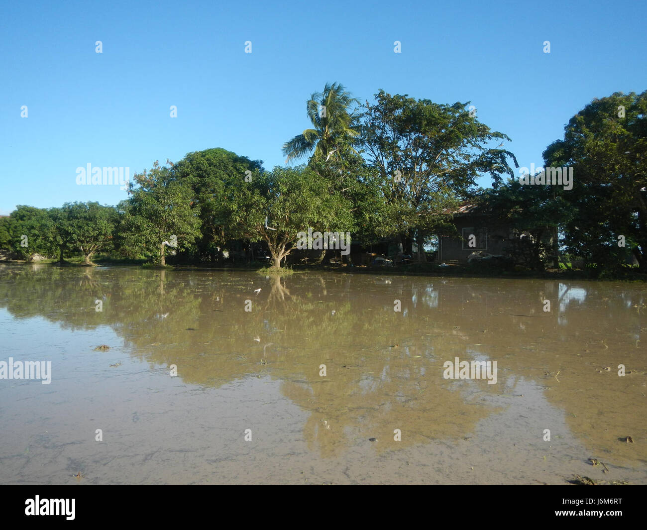 The image depicts the agricultural landscape of Balucuc, Apalit ...