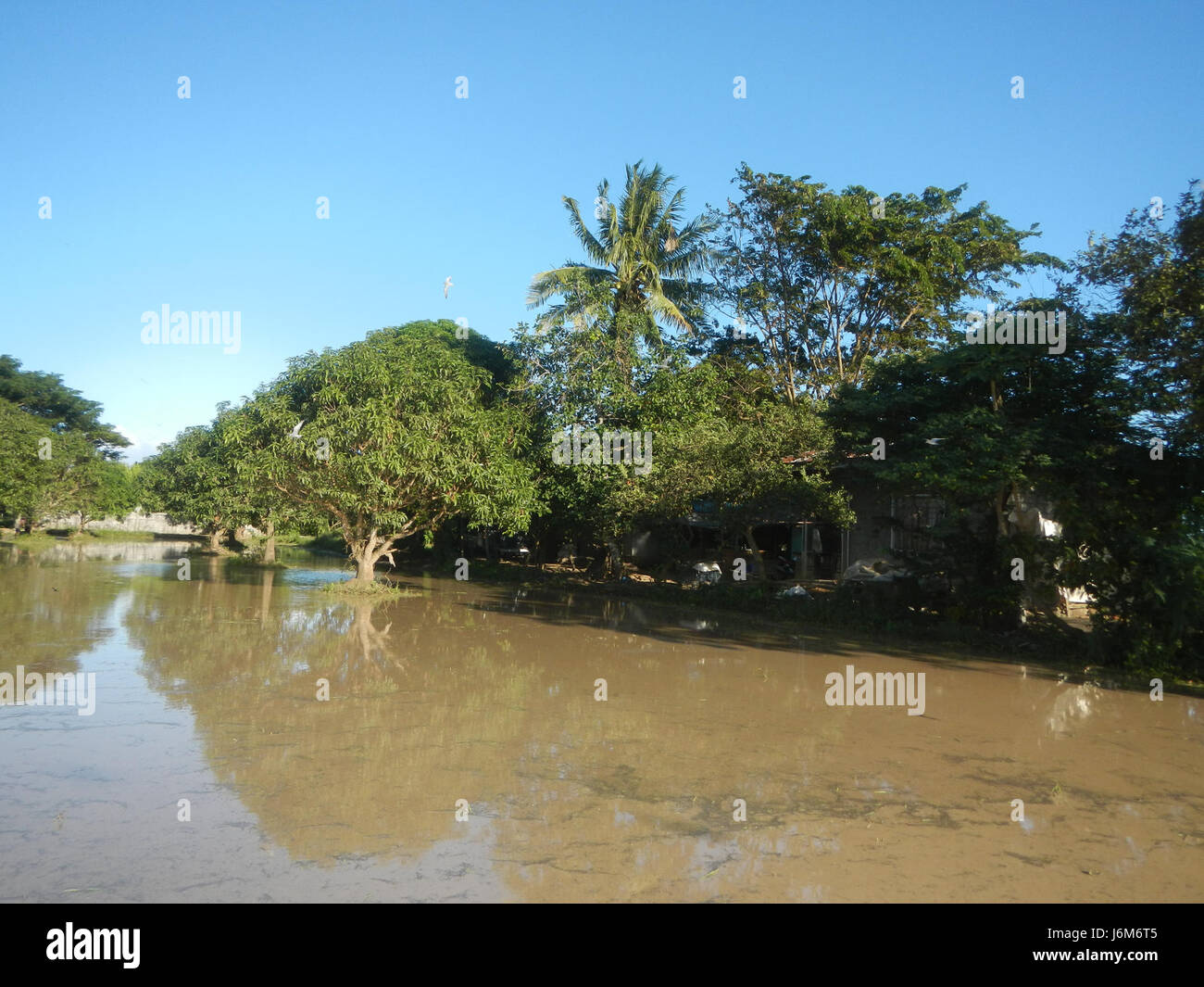 This image depicts the rural agricultural landscape of Balucuc, Apalit ...