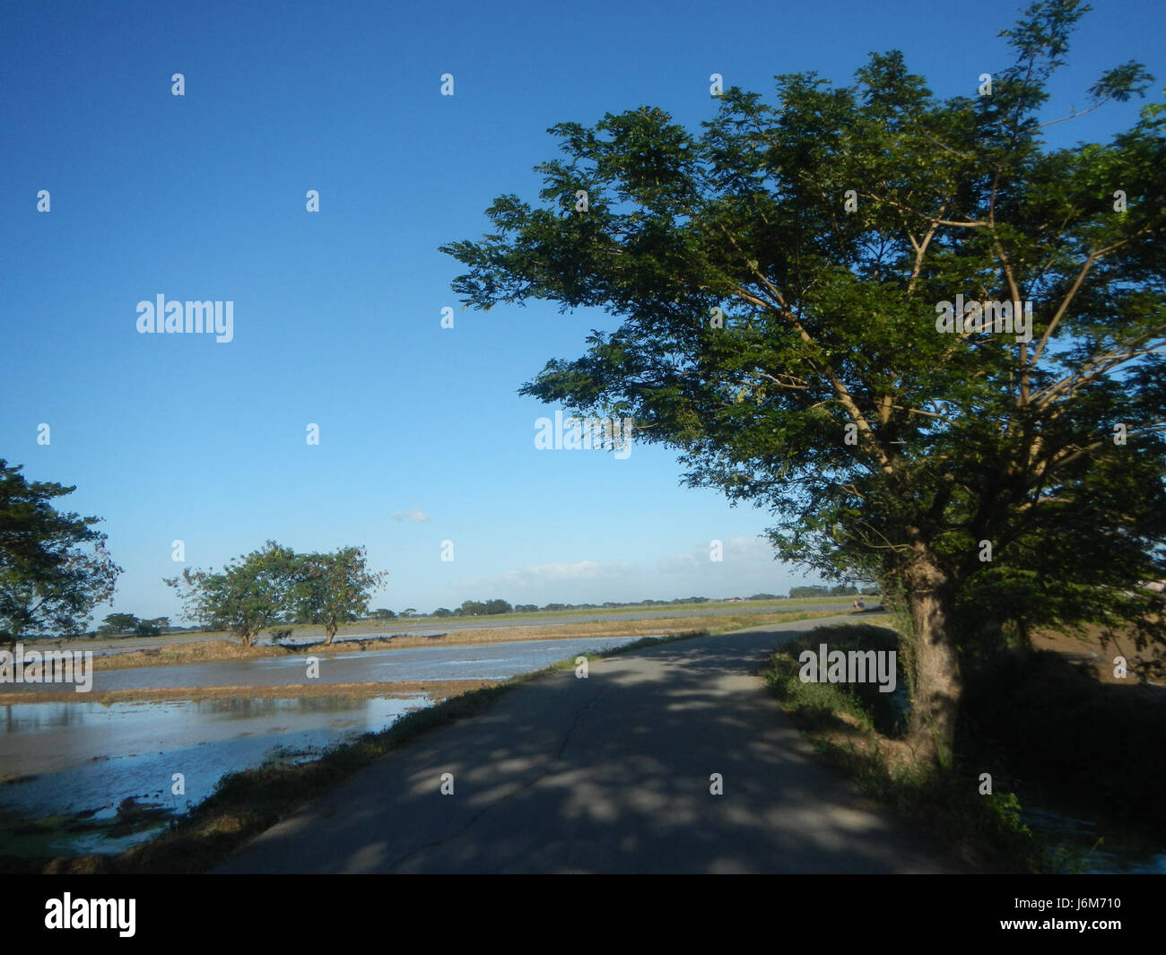 09124 Balucuc Apalit Pampanga plowing paddy fields irrigation flying ...