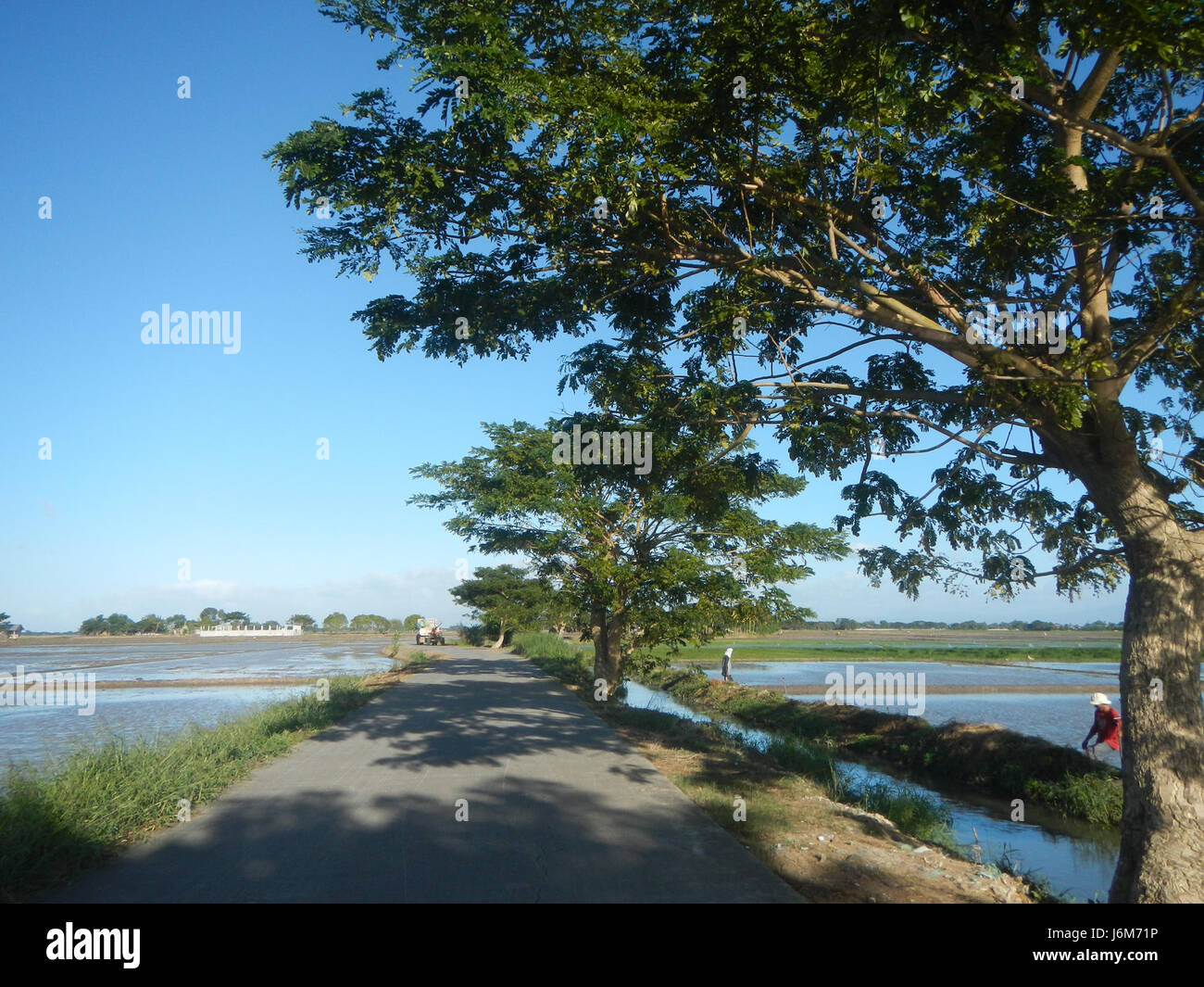 09150 Balucuc Apalit Pampanga paddy fields grasslands trees Roads 08 ...