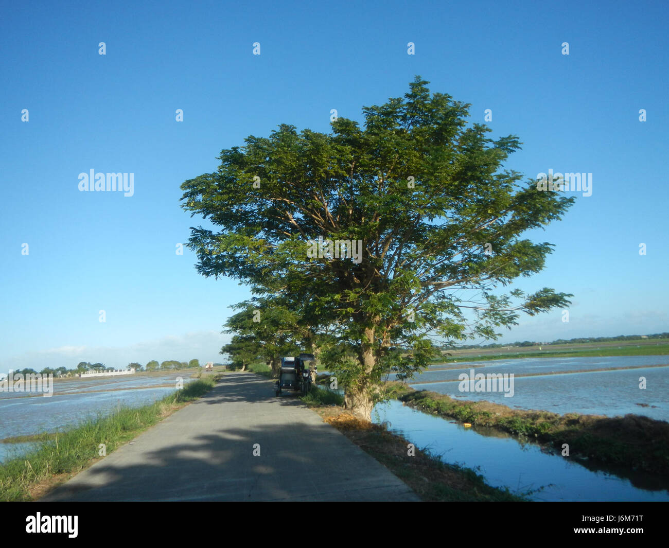09150 Balucuc Apalit Pampanga paddy fields grasslands trees Roads 10 ...