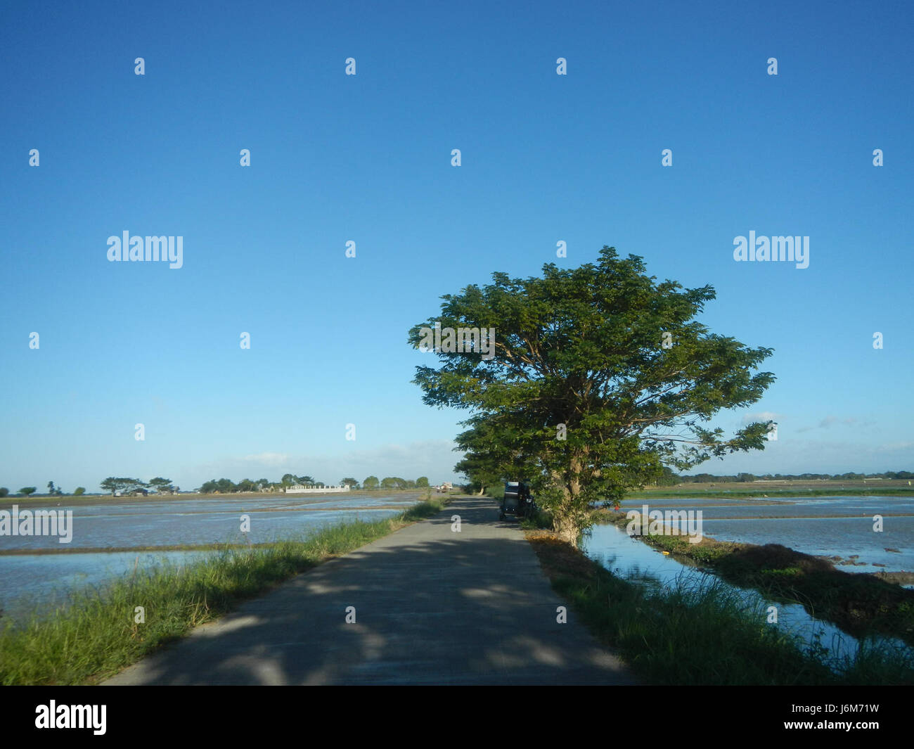 Balucuc in Apalit, Pampanga, is a rural area known for its expansive ...