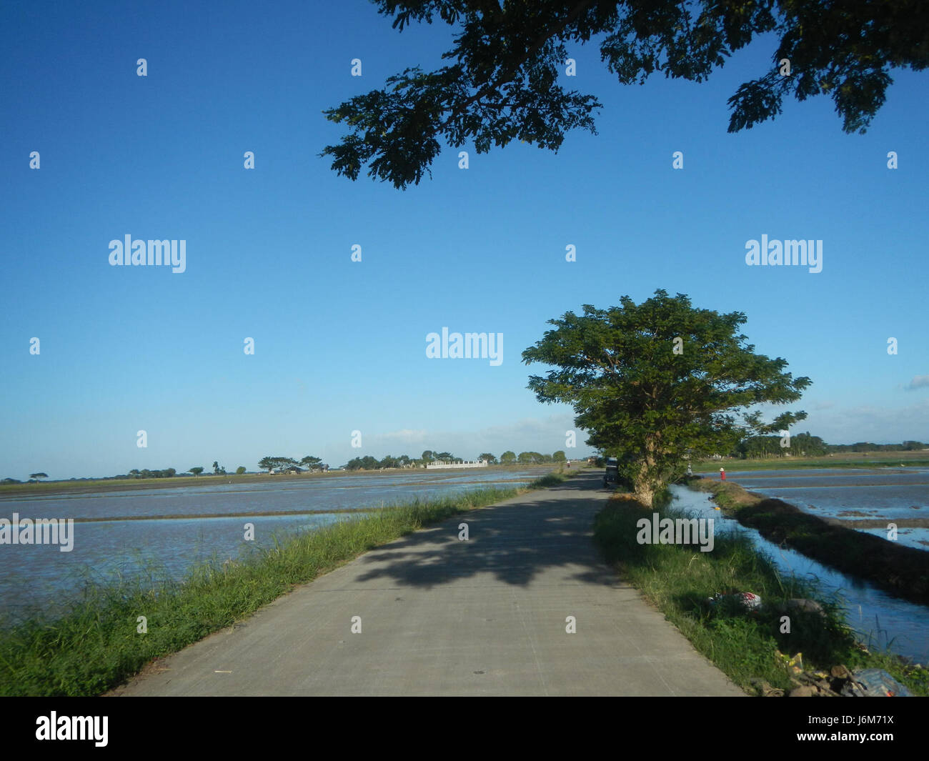09150 Balucuc Apalit Pampanga paddy fields grasslands trees Roads 12 ...
